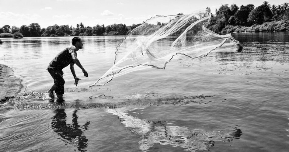 Animal Farm Tools (Primary 4)